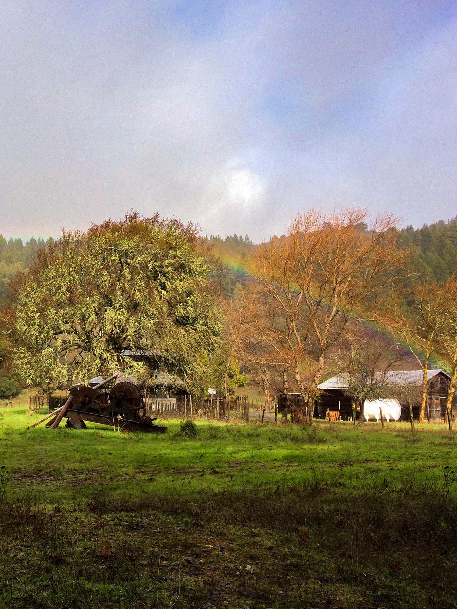 DSP CA 162 "Straight" Vodka – Rare Still