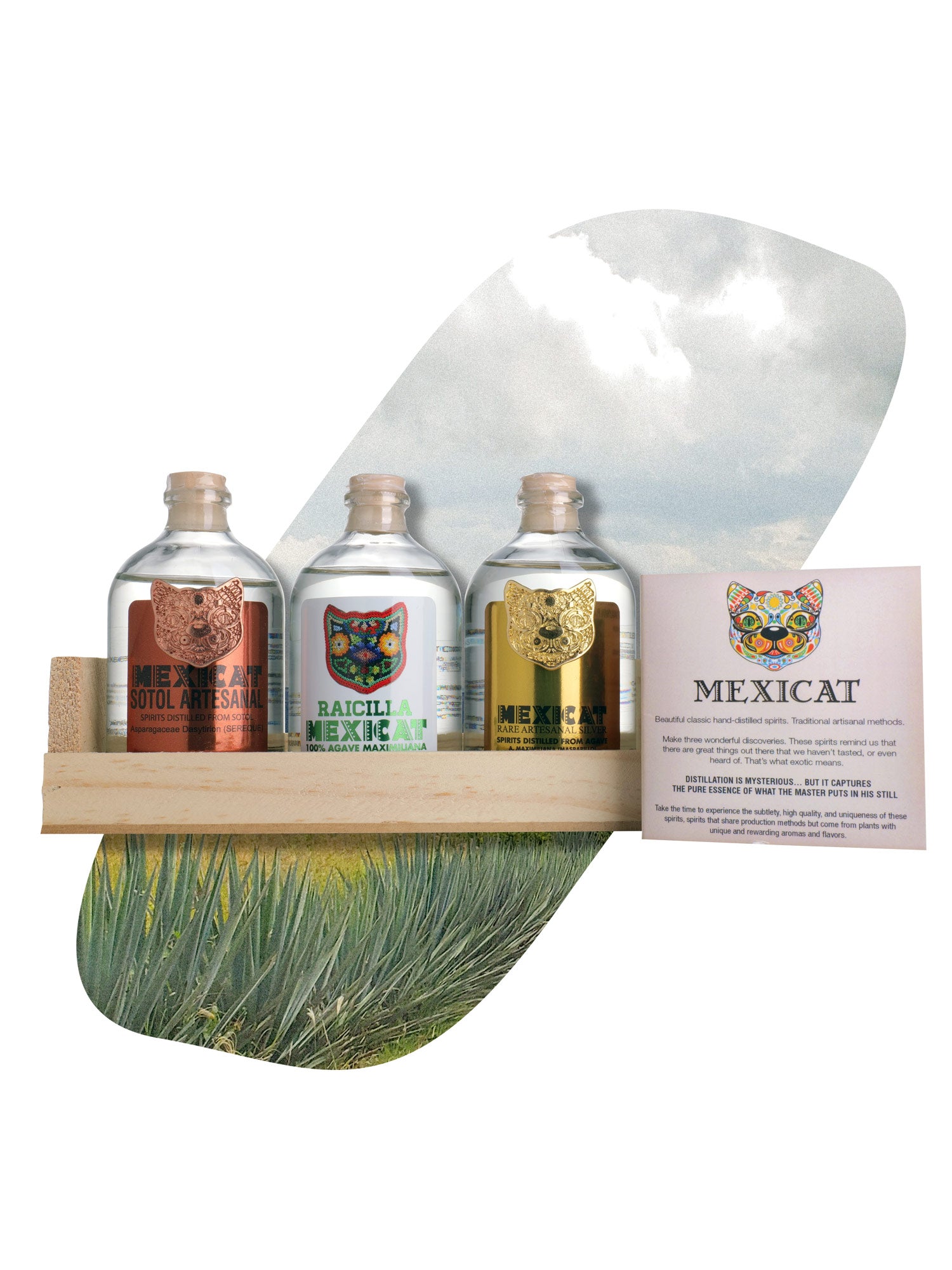 Mexicat Mezcal Tasting Set – Rare Still